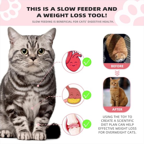 Interactive Cat Treasure Hunt Toy Food Dispenser Puzzle Feeder with ...